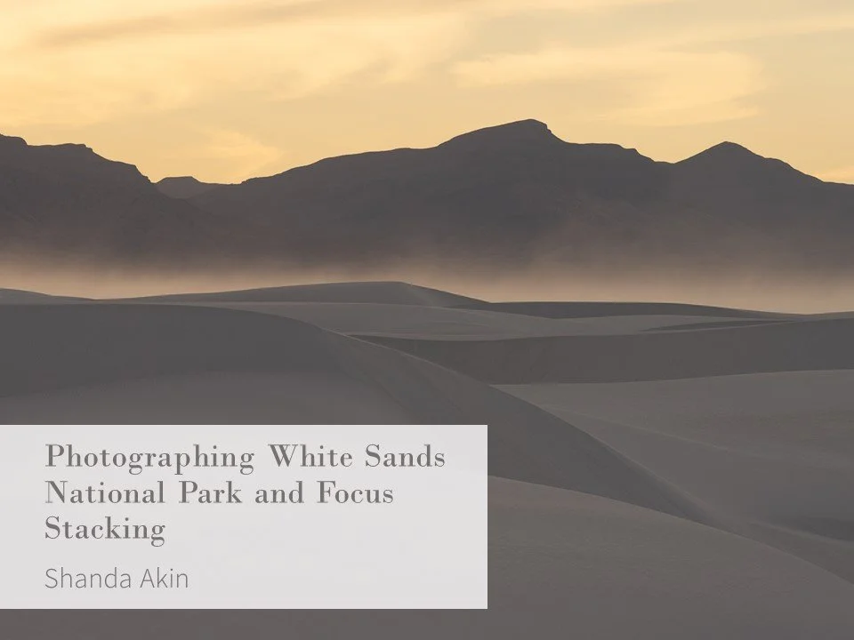 Events - Shanda Akin Photography