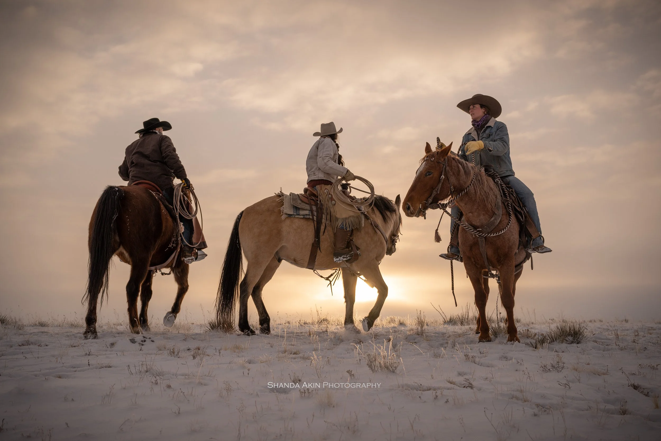 Portfolio of Winter Ranch Photographs in Colorado - Shanda Akin Photography