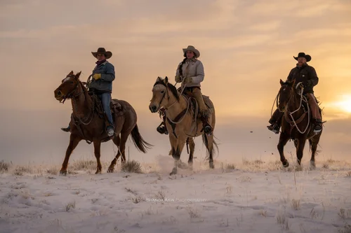 Portfolio of Winter Ranch Photographs in Colorado - Shanda Akin Photography