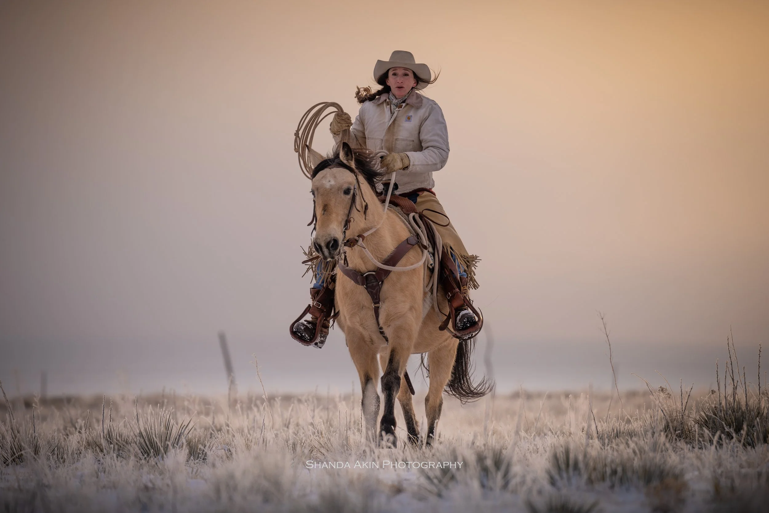 Portfolio of Winter Ranch Photographs in Colorado - Shanda Akin Photography