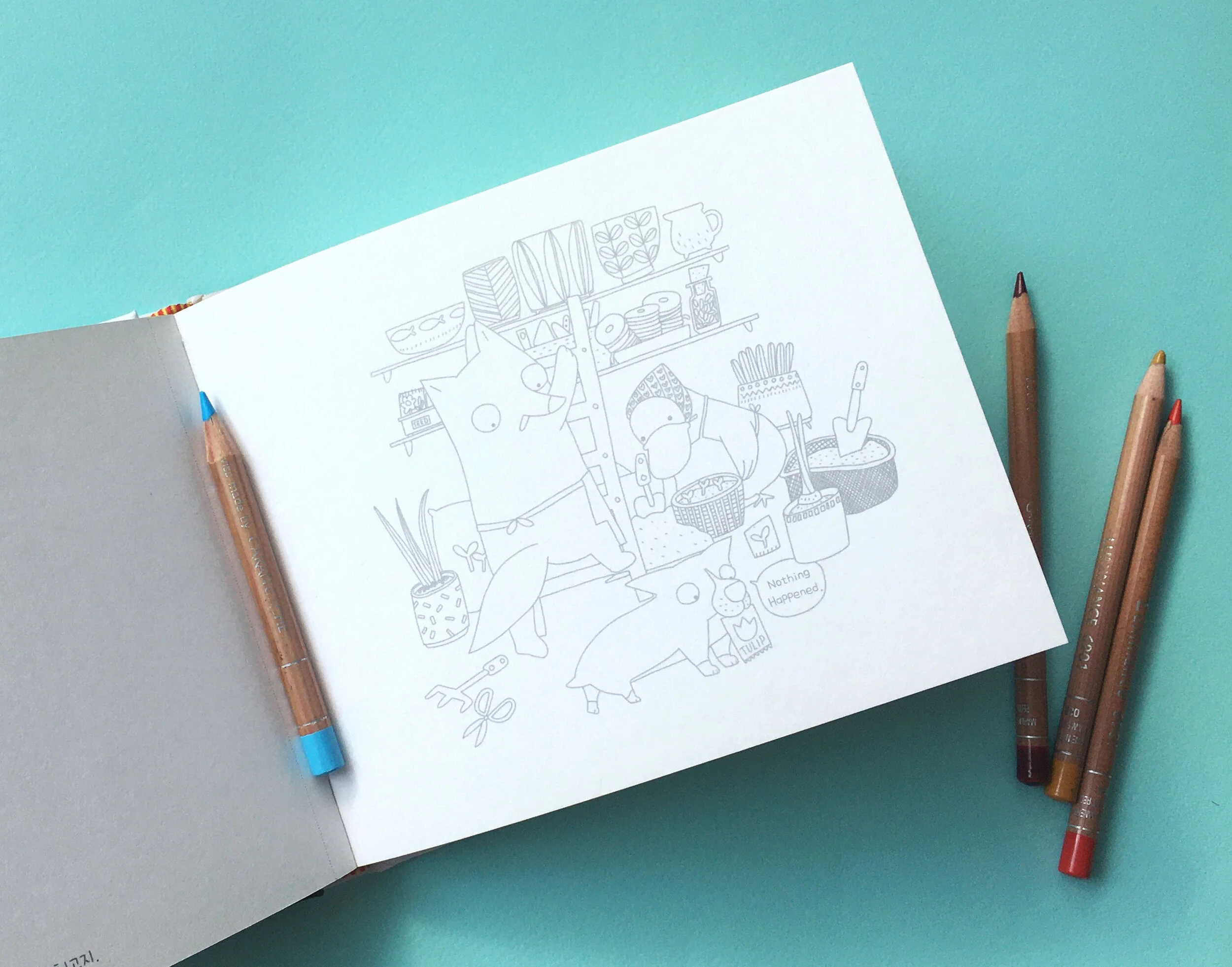 Mr. Fox Coloring Book — Heegyum Kim Illustration