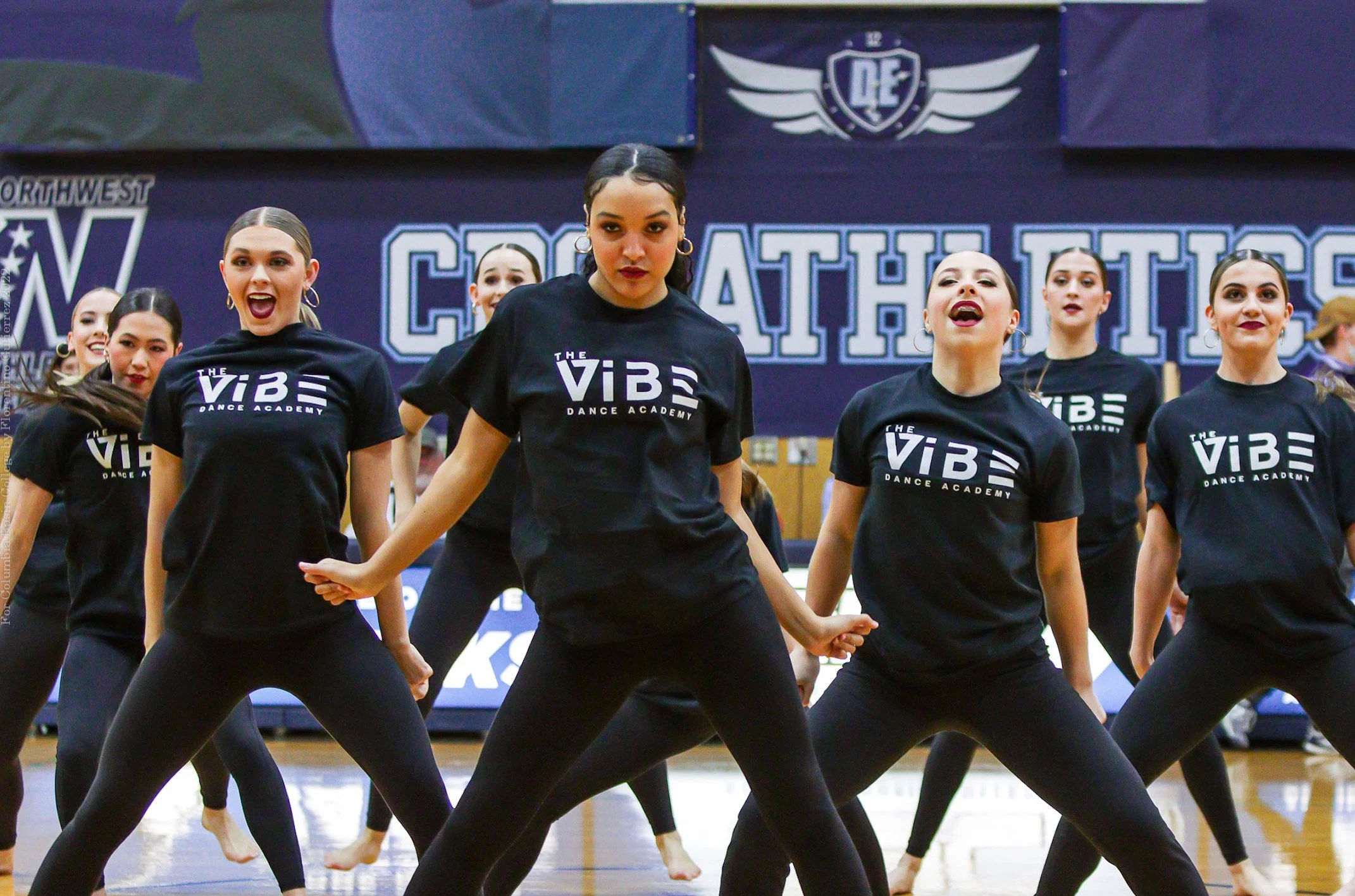 The Vibe Dance Academy