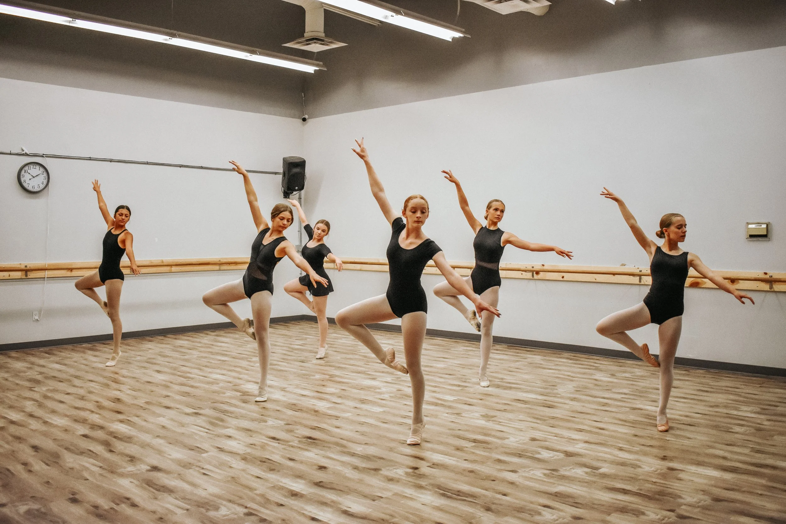 The Vibe Dance Academy