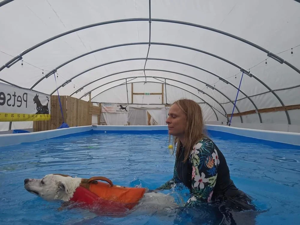 Dog Medical Hydrotherapy, Fun Swims, and Dock Diving — Petsercise