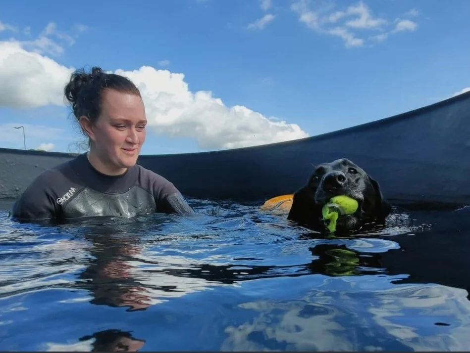 Dog Daycare, Training & Grooming in North East, England | Petsercise