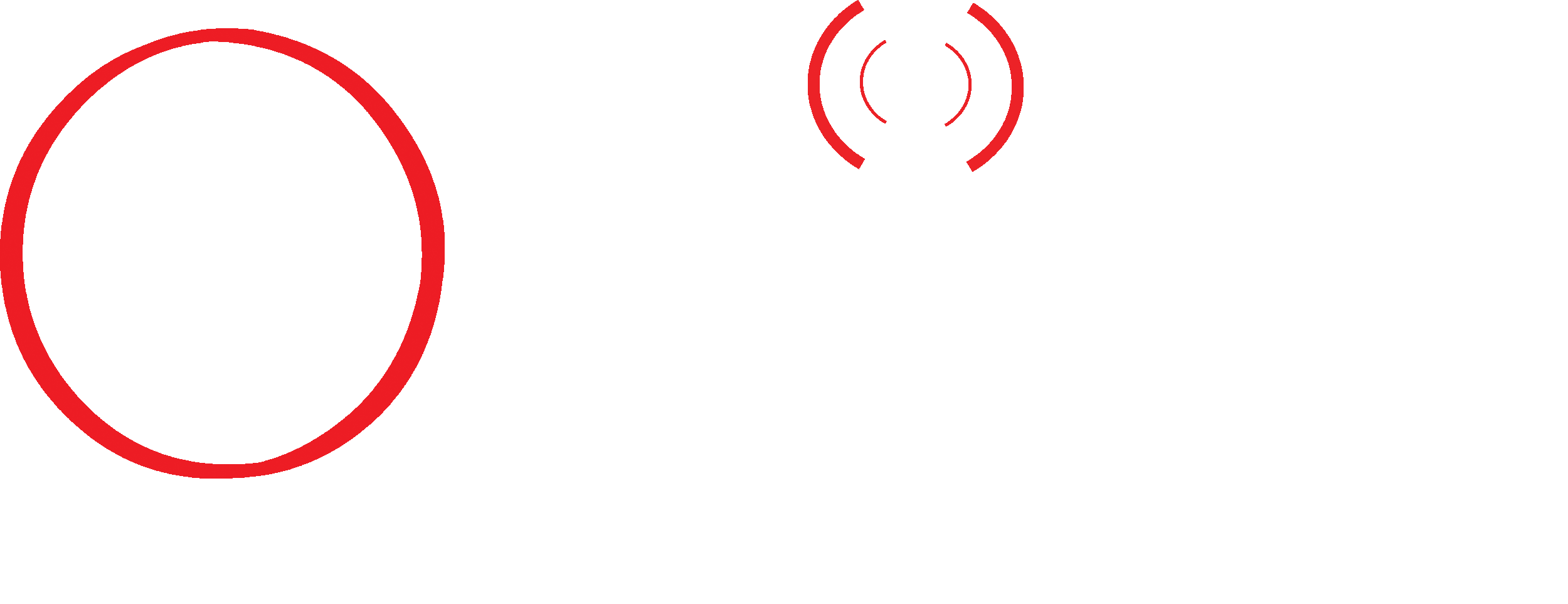 Telecommunication Systems Logo