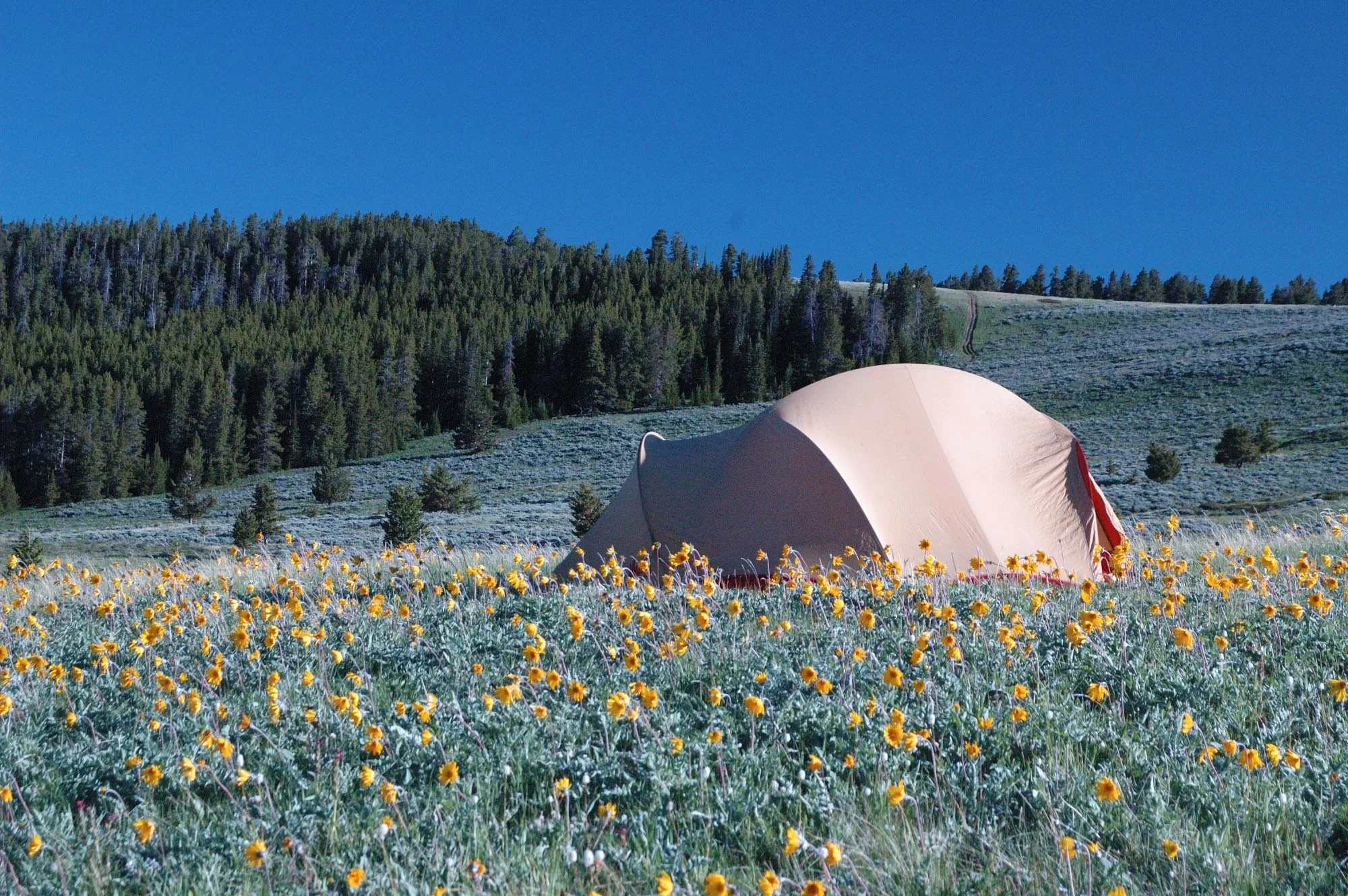 Camping — The Pryor Mountains