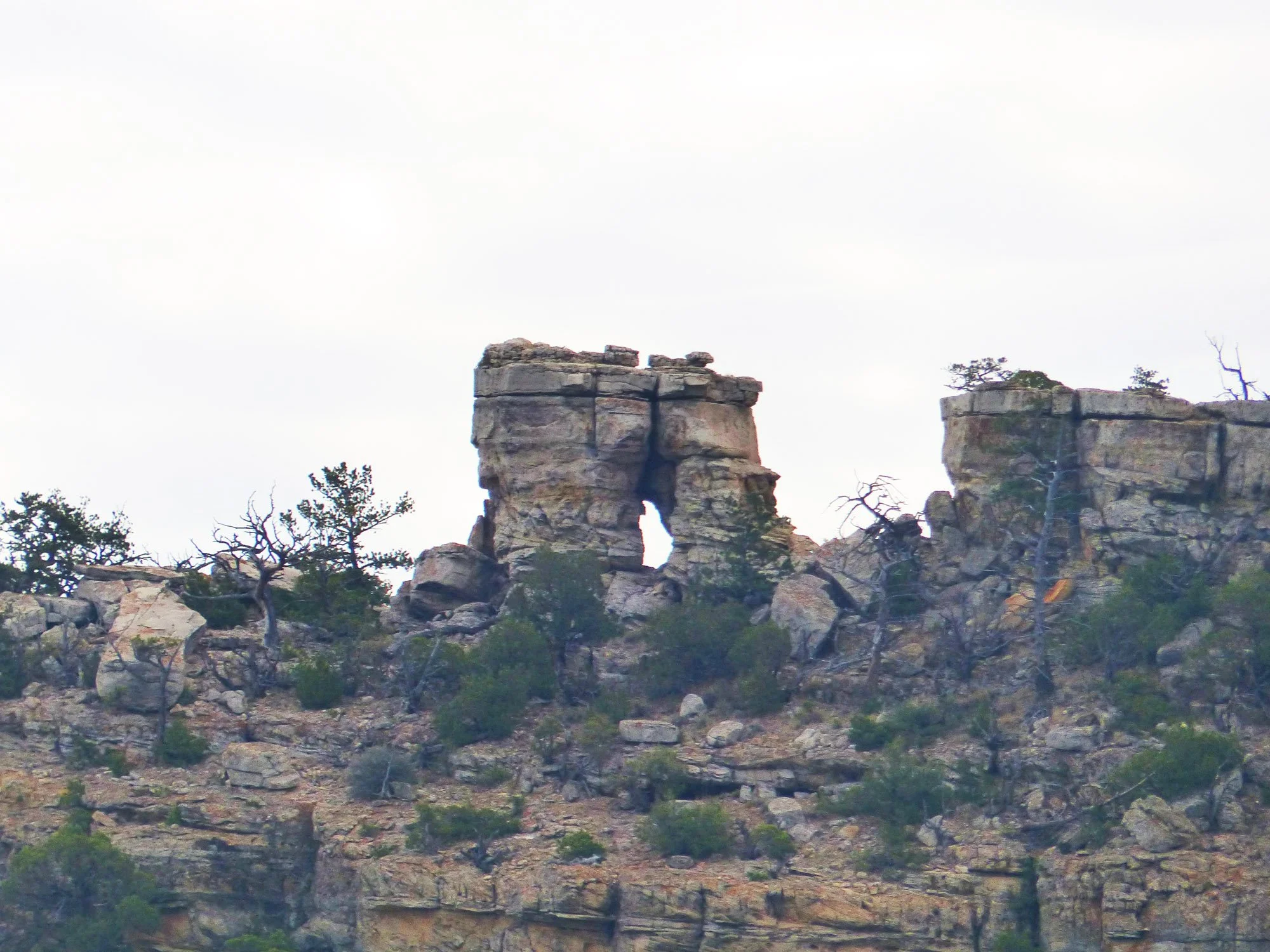 Water Canyon and Timber Canyon Trails — The Pryor Mountains