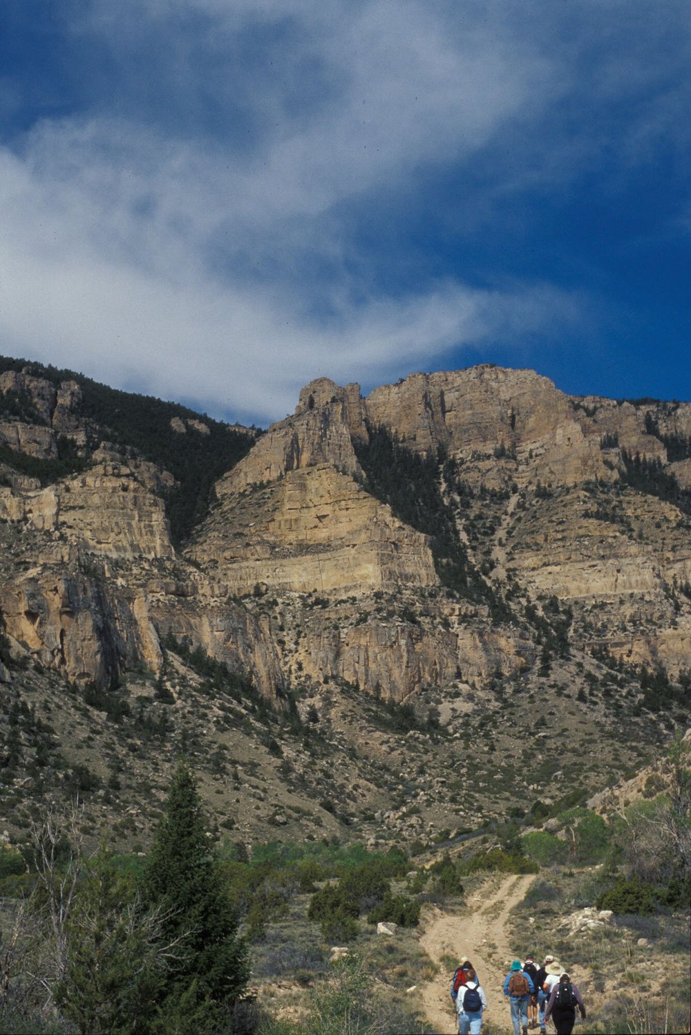 Overview: Hiking in the Pryors — The Pryor Mountains