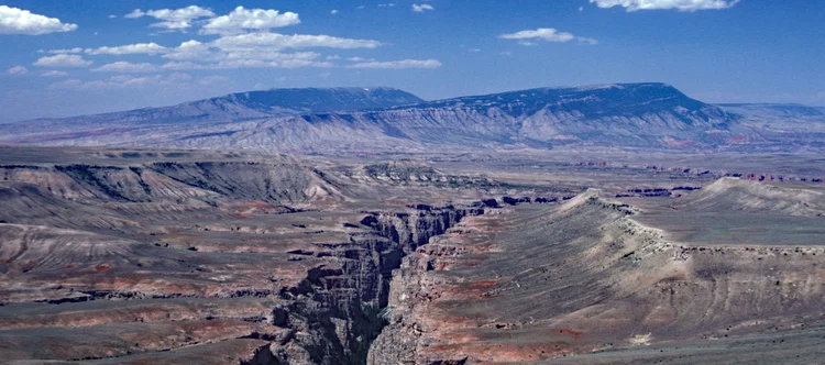 Welcome to the Pryors — The Pryor Mountains