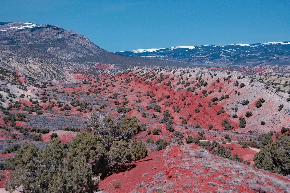 Why are the Pryors Special? — The Pryor Mountains