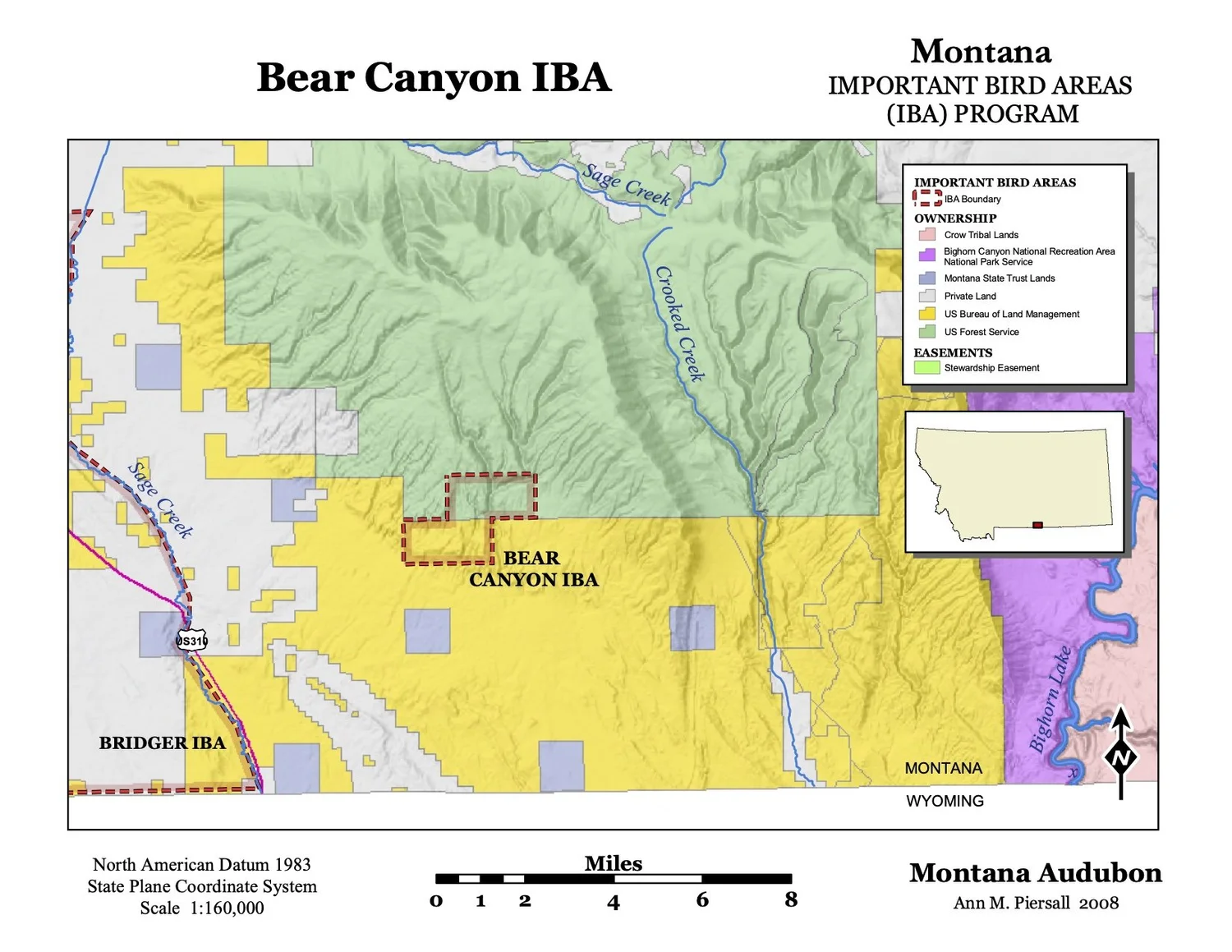 Birds — The Pryor Mountains