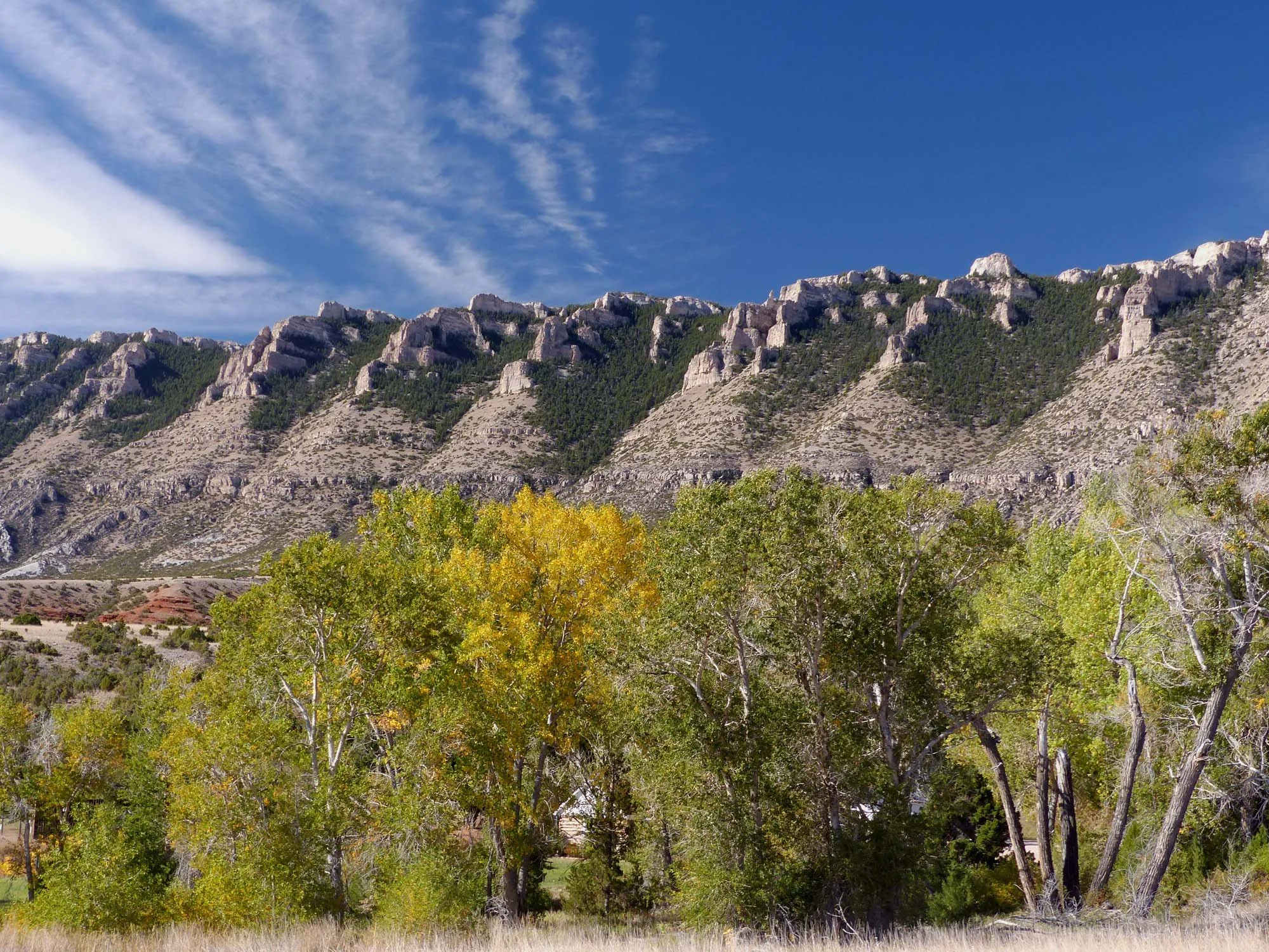 Upper Layout Creek Trail — The Pryor Mountains