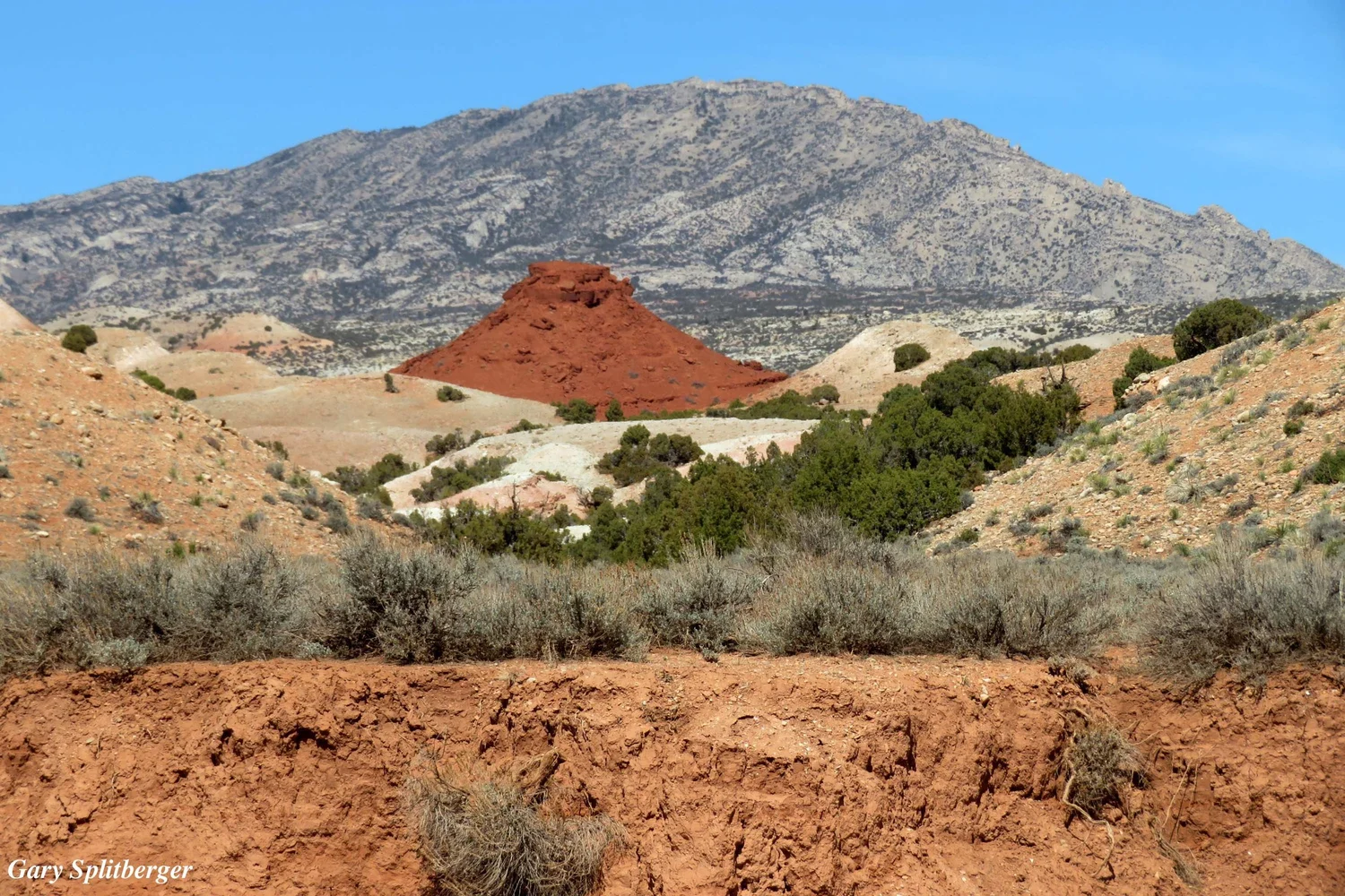 Pryors Wilderness — The Pryor Mountains