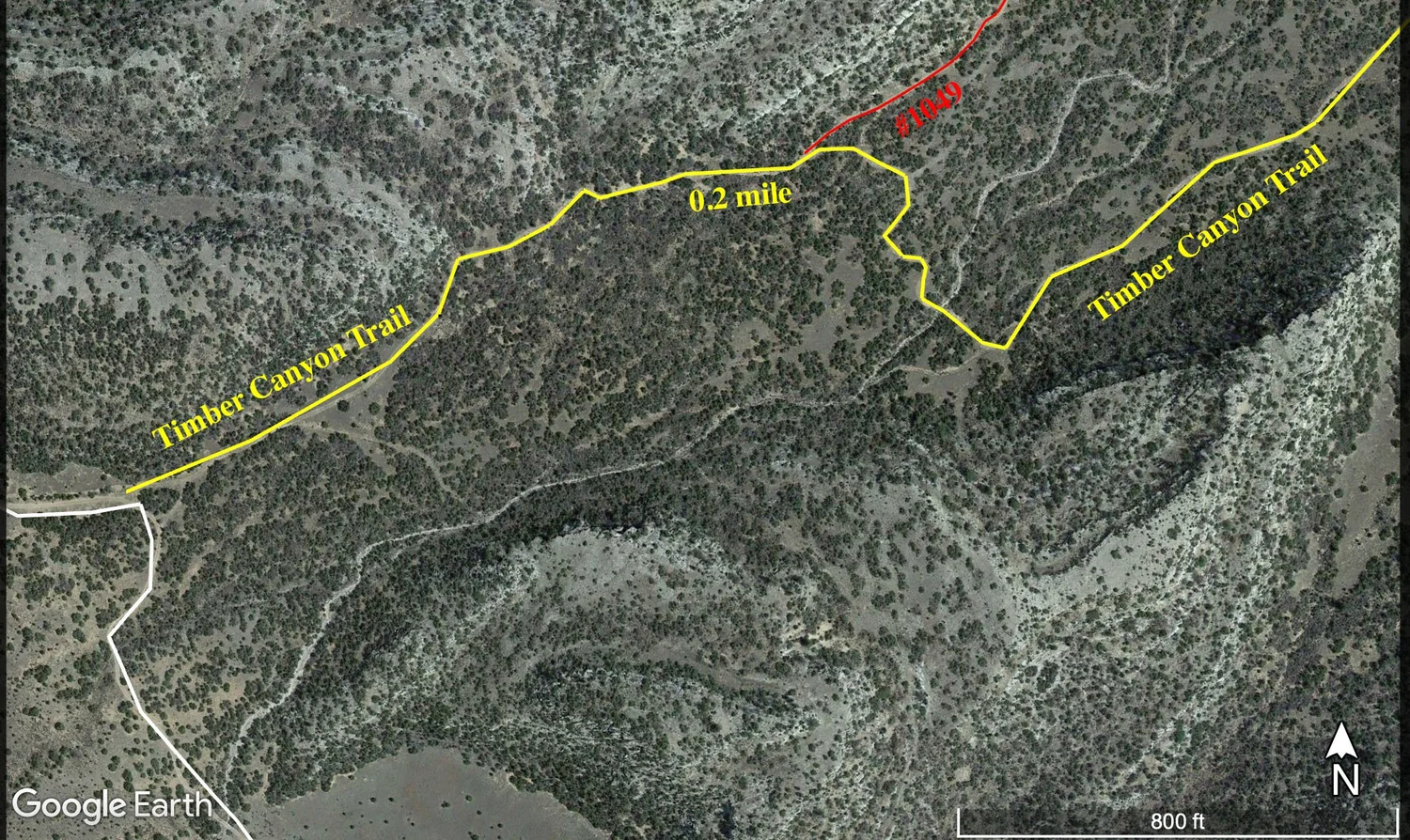 Water Canyon and Timber Canyon Trails — The Pryor Mountains