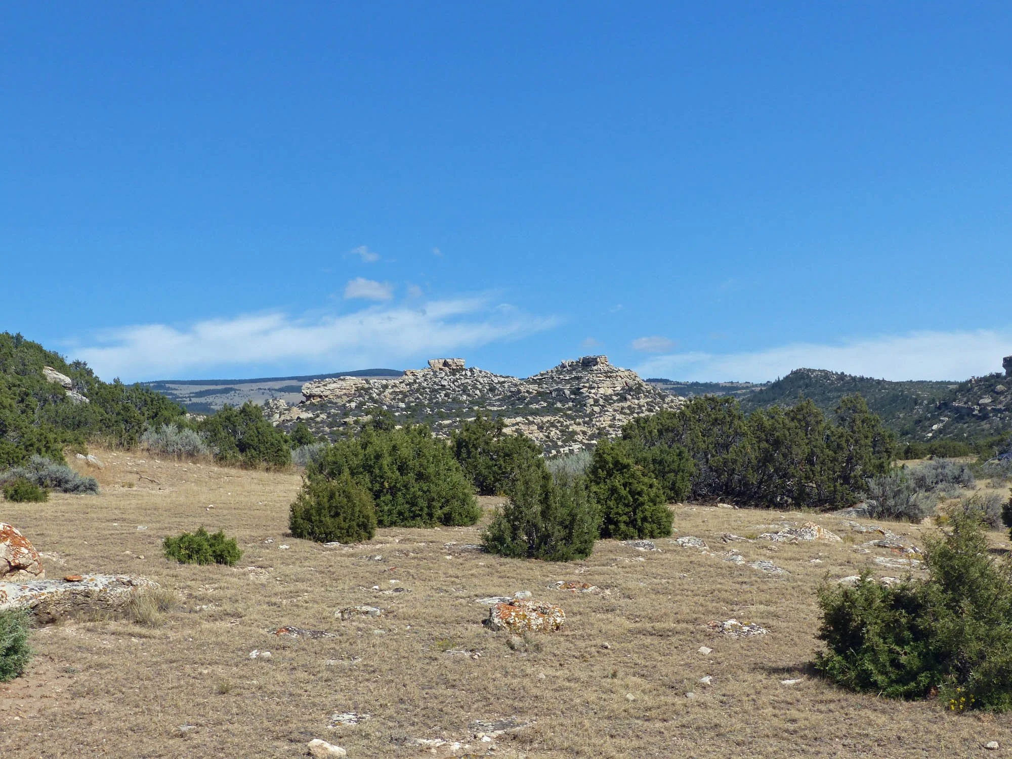 Water Canyon and Timber Canyon Trails — The Pryor Mountains