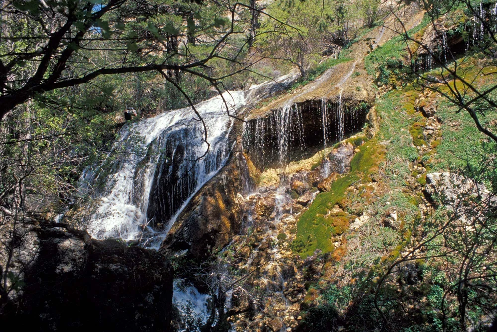 Upper Layout Creek Trail — The Pryor Mountains