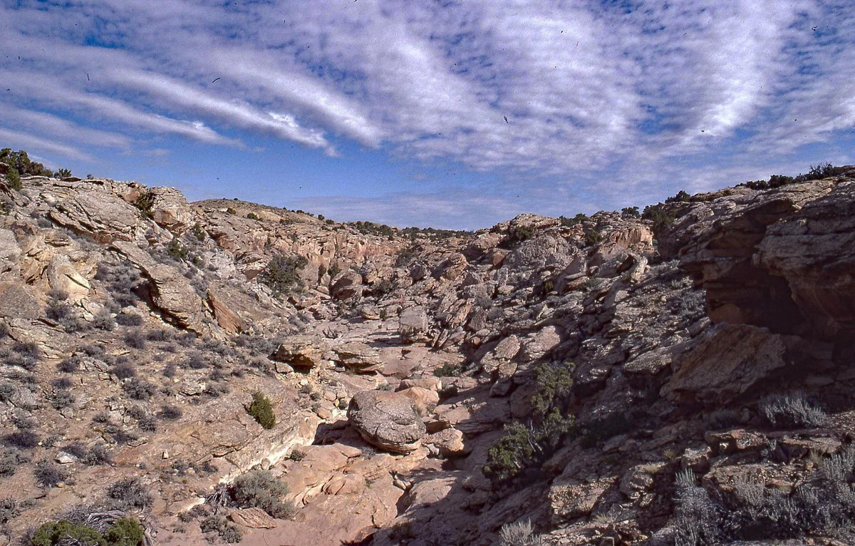 Petroglyphs — The Pryor Mountains