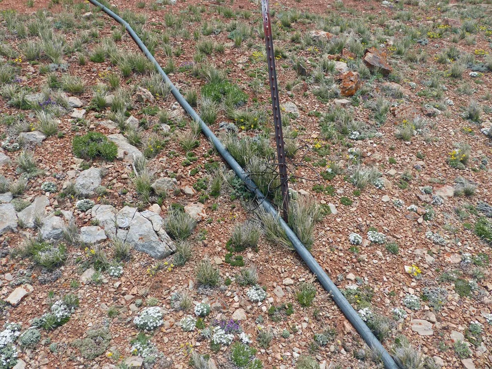 Bear Canyon and Hikers' Haven Loop Hikes — The Pryor Mountains