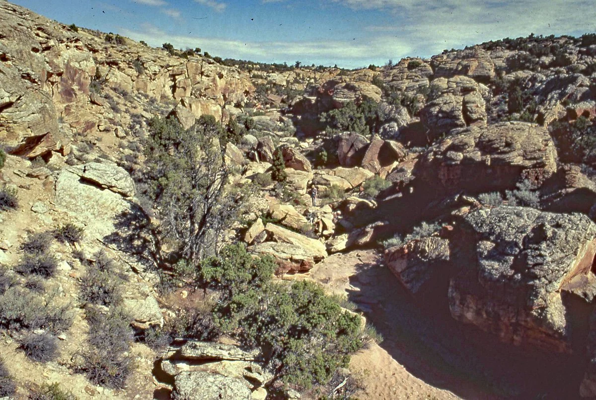 Petroglyph Canyon Hike — The Pryor Mountains