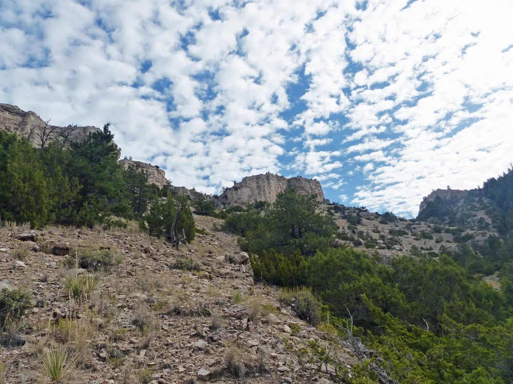 Water Canyon and Timber Canyon Trails — The Pryor Mountains