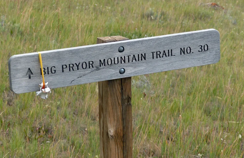 Rangers Trail — The Pryor Mountains