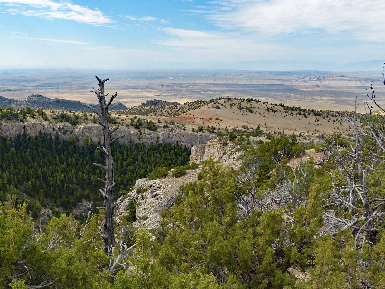 Water Canyon and Timber Canyon Trails — The Pryor Mountains