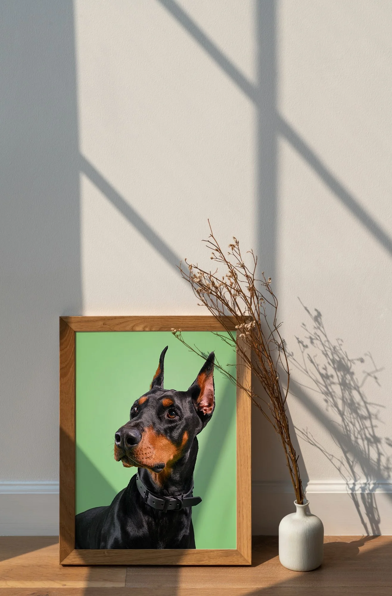 Premium Studio Dog Portraits | Minneapolis Dog Photographer