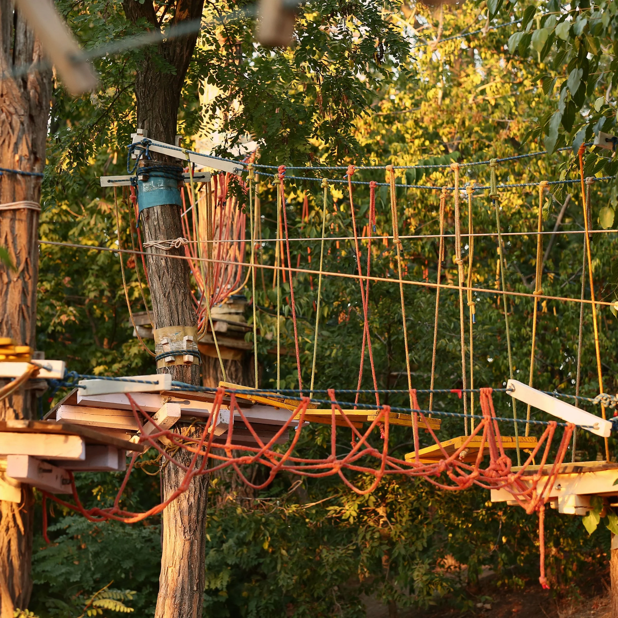 19 Unforgettable Orlando Team Building Activities in 2026 — Make ...