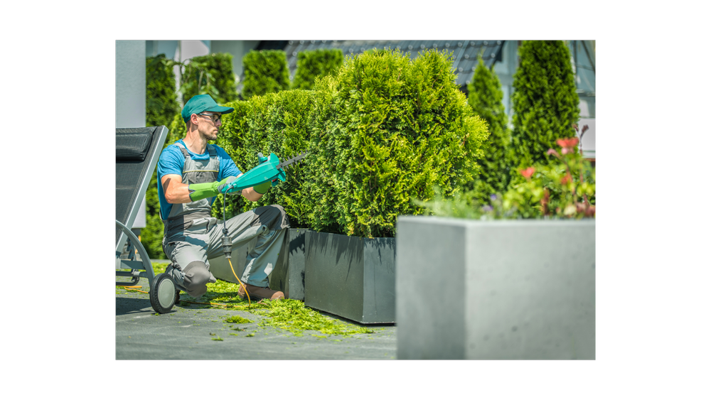 codes-greenscapes-alliance