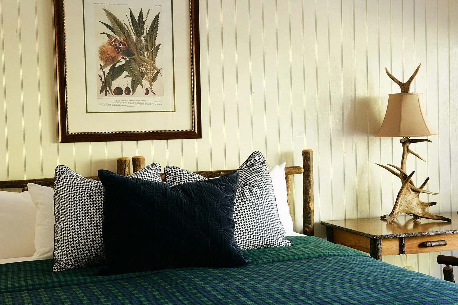 The Property and Virtual Tour — RT LODGE