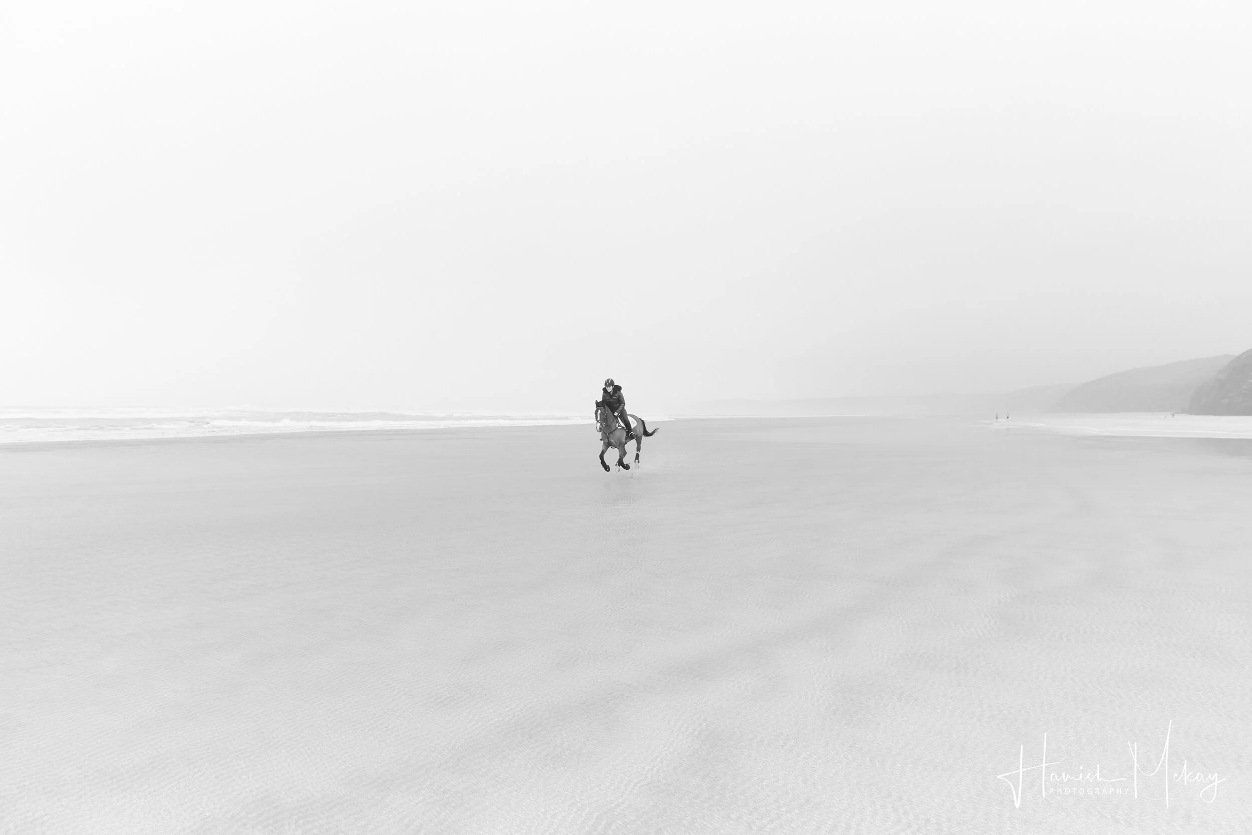 Pet & Equestrian — Hamish Mckay Photography