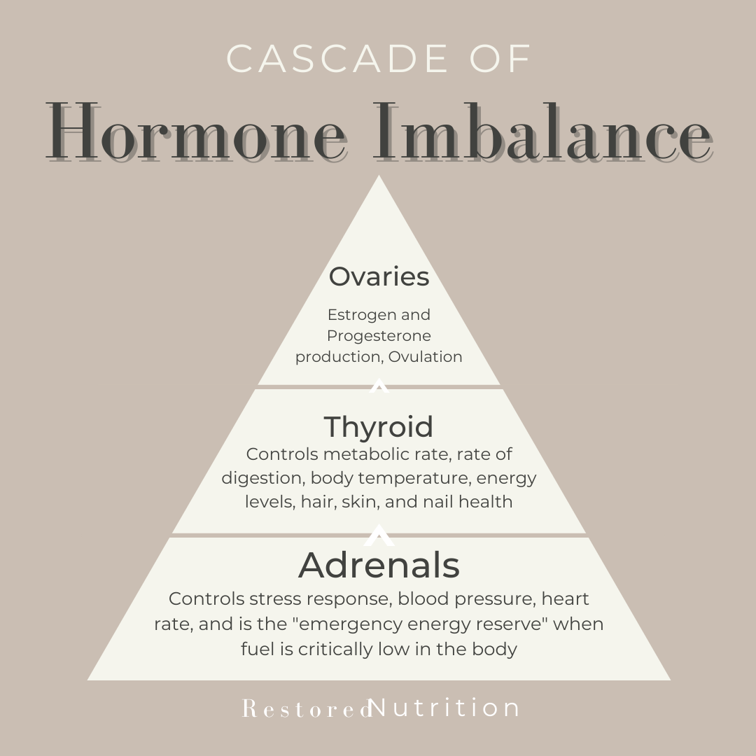 The Cascade of Hormone Imbalance — Restored Nutrition