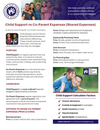 Child Support vs Co-Parent Expenses (Shared Expenses) — Our Children ...