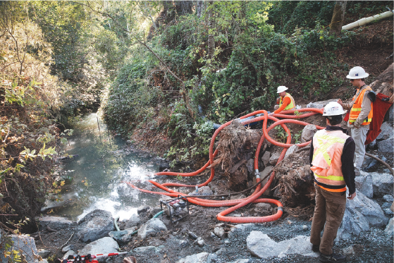 Ecological Workforce