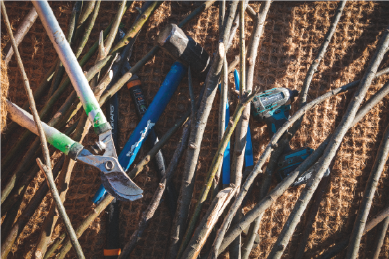 Ecological Workforce