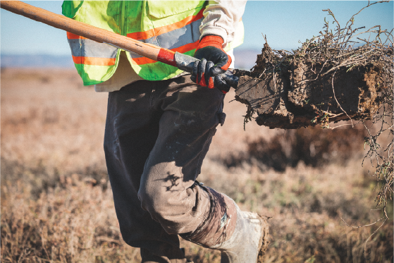Ecological Workforce