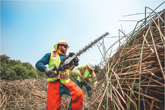 Ecological Workforce