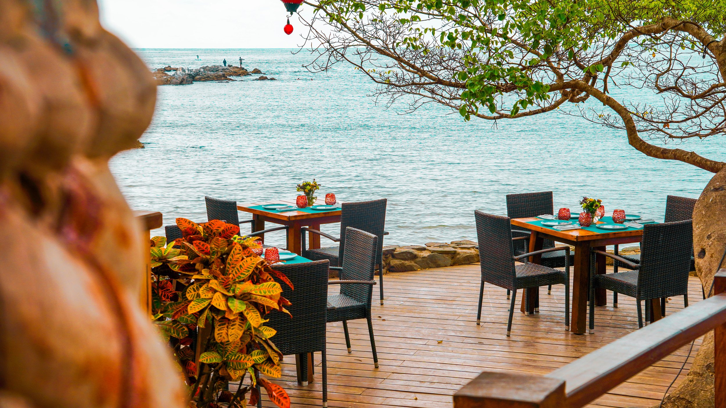 Si Señor Sayulita restaurant — The Blue Shrimp Group