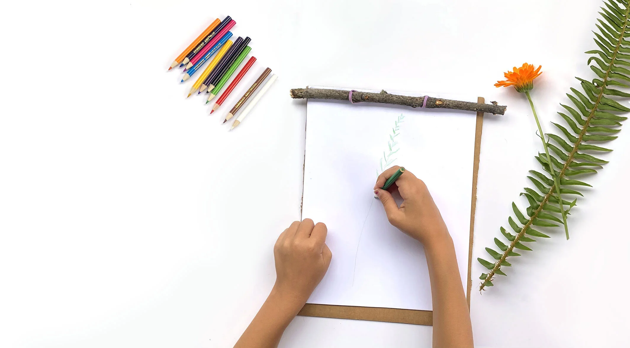 Green Art Labs | Art Subsciption Box for Kids