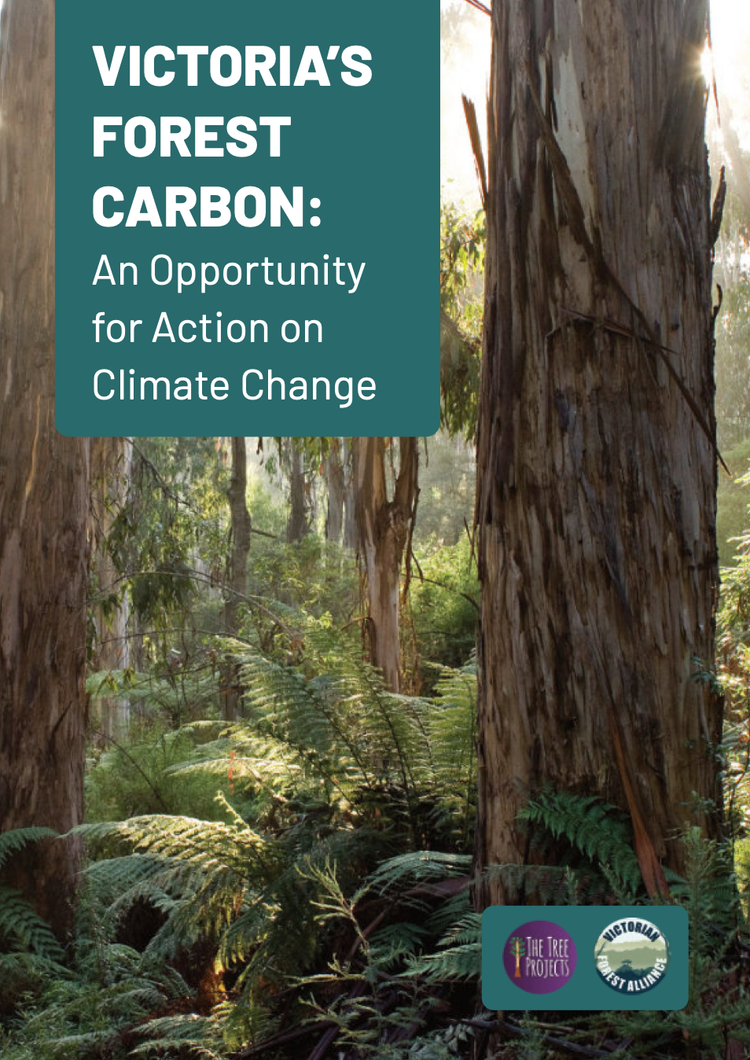 Forest Carbon Reports — The Tree Projects