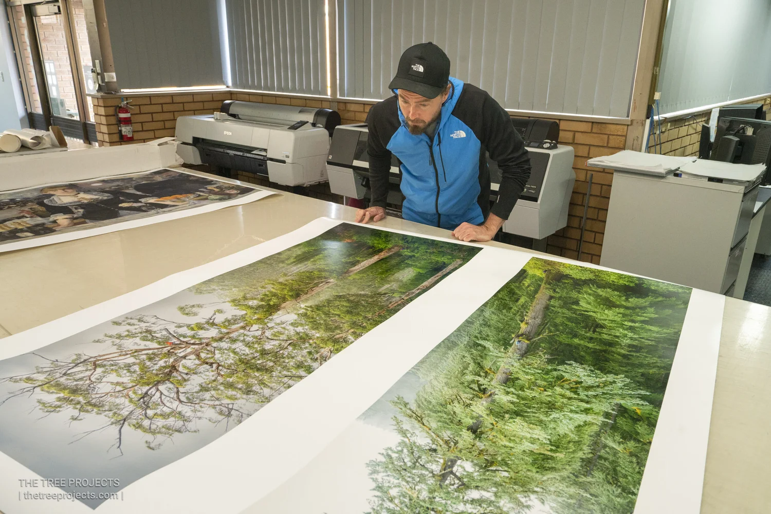 Tree Portraits — The Tree Projects