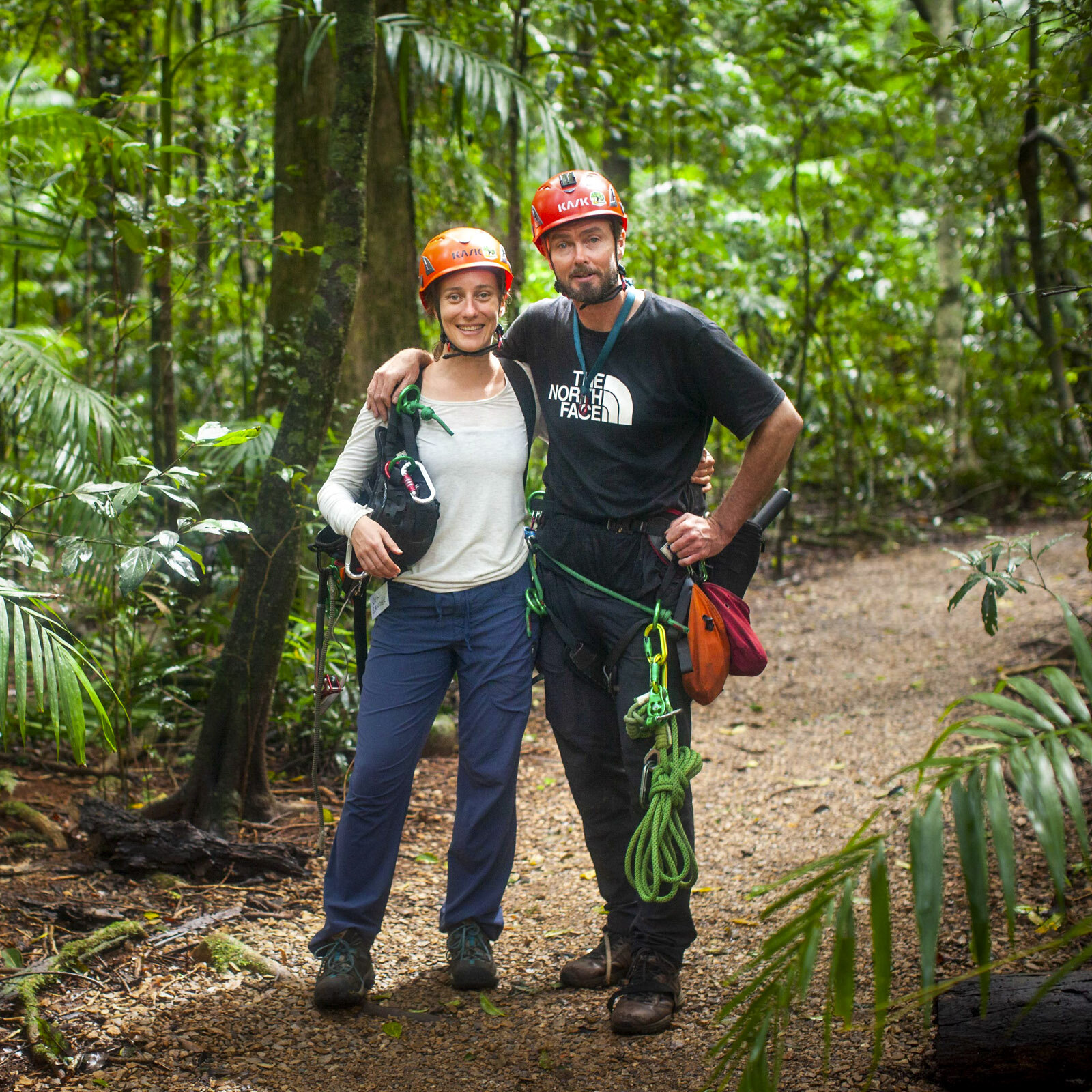 About Us — The Tree Projects