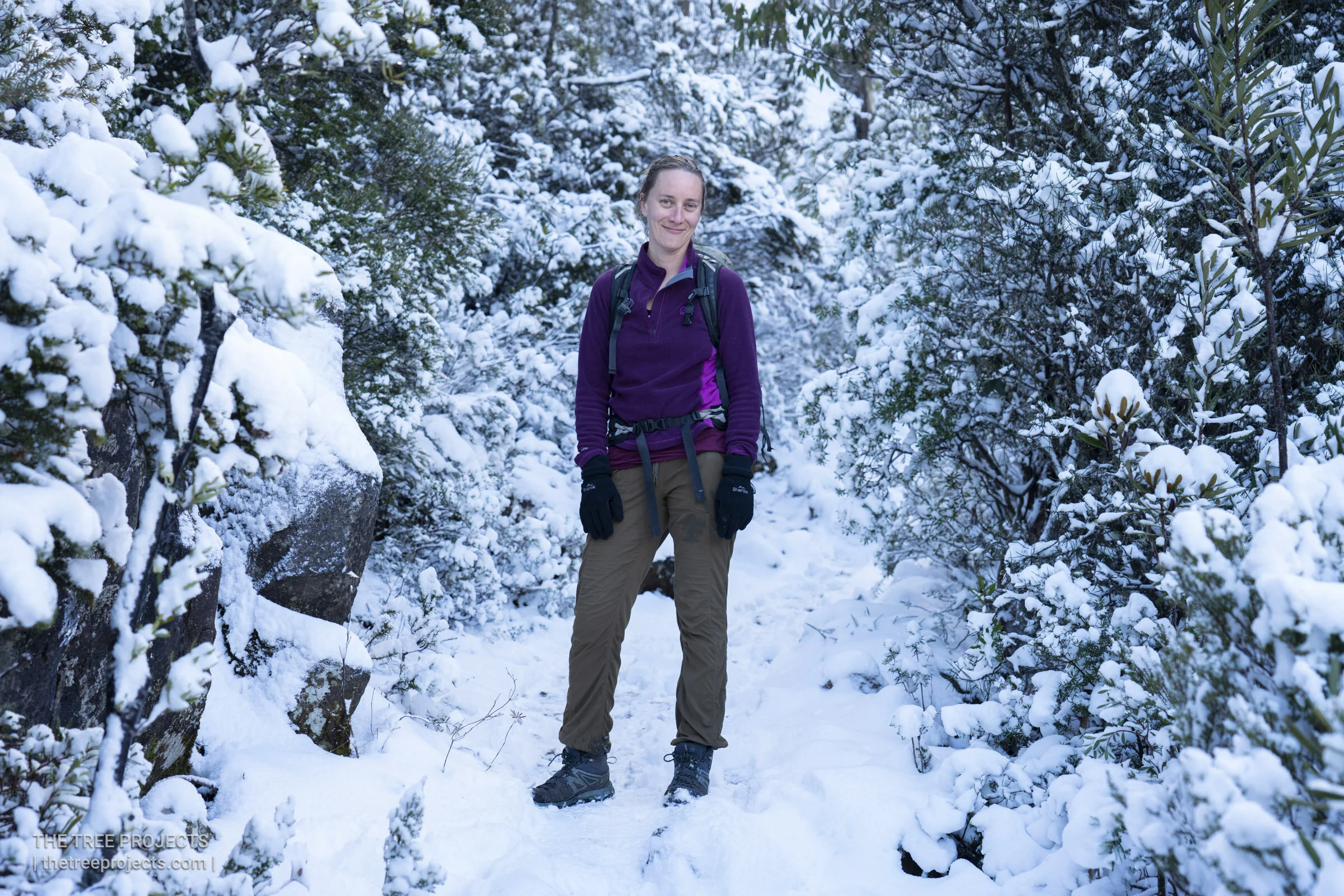 Our Team — The Tree Projects