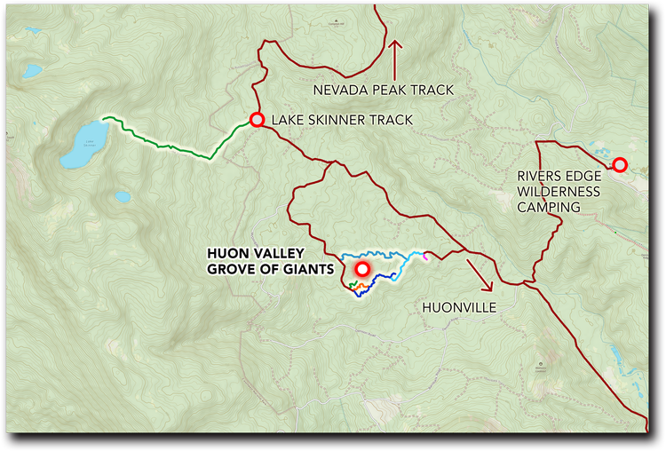 Huon Valley’s Grove of Giants a Tasmanian Giant Tree destination like ...