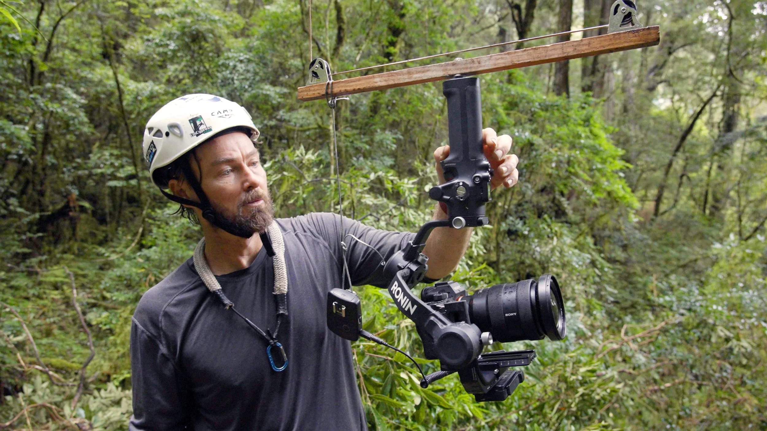 Tree Portraits — The Tree Projects