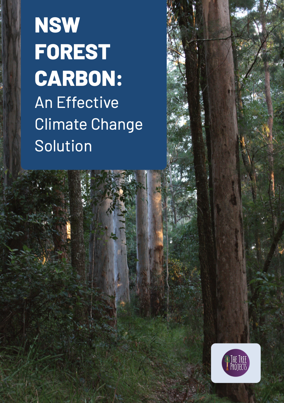 Forest Carbon Reports — The Tree Projects