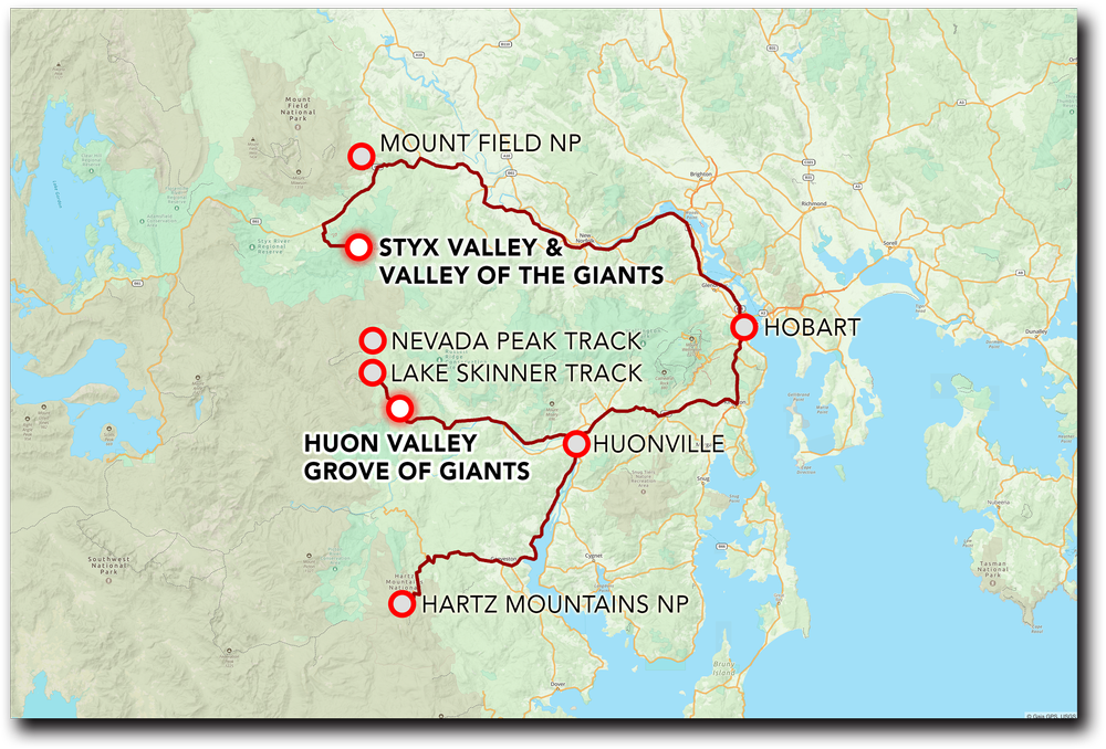 Huon Valley’s Grove of Giants a Tasmanian Giant Tree destination like ...