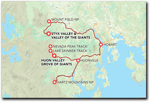 Huon Valley’s Grove of Giants a Tasmanian Giant Tree destination like ...