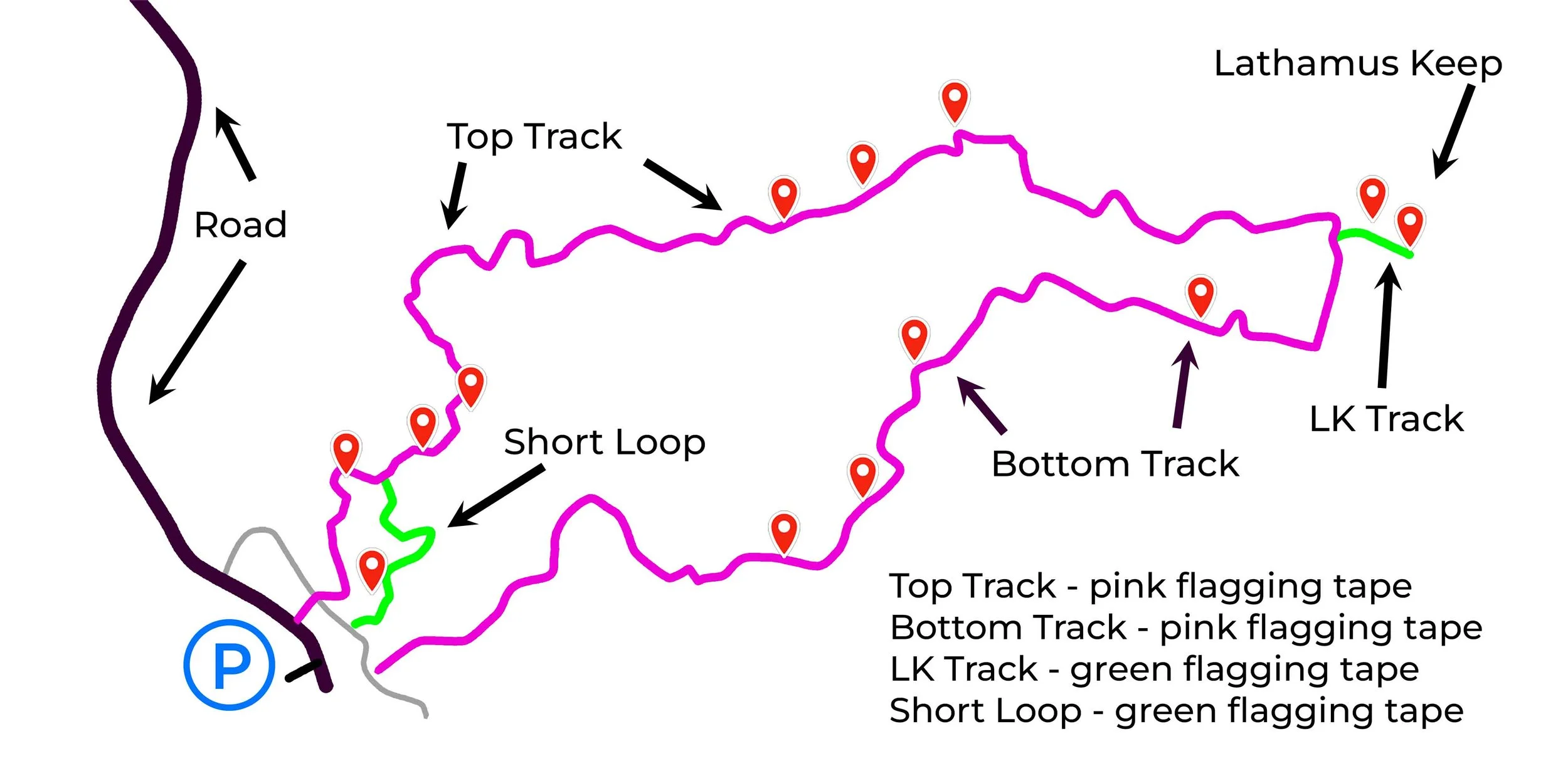 Huon Valley’s Grove of Giants a Tasmanian Giant Tree destination like ...